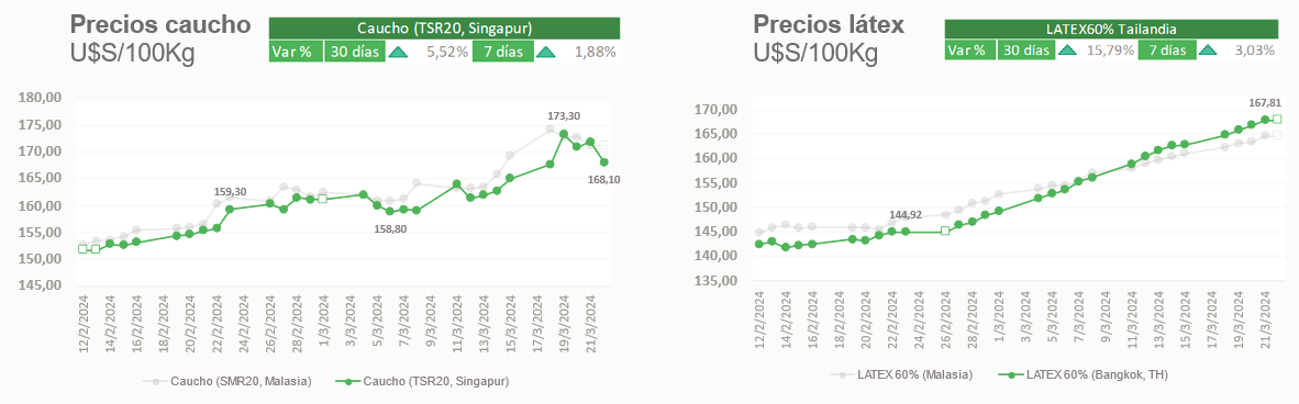 Upward trend: latex and natural rubber prices at historic levels