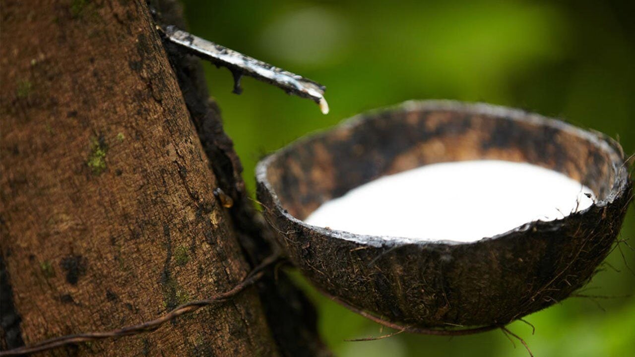 Latex follows the decline in natural rubber